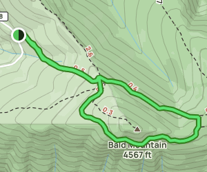 Top Spur and Timberline Trail Loop: 547 Reviews, Map - Oregon | AllTrails