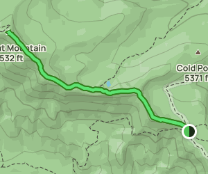 Lookout Mountain via the Divide Trail #458: 229 fotos - Oregon | AllTrails