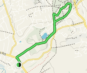 The Old Plough and Oxshott Heath Walk: 63 Fotos - Surrey, England ...