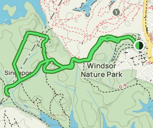 Jelutong Tower via Tree Top Walk Loop: 1.215 foto - Central Region ...