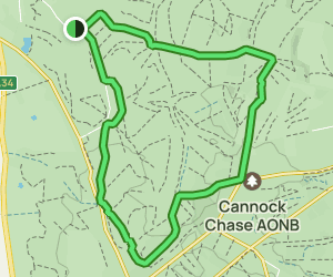 Cannock Chase Circular Walk: 358 foto - Staffordshire, Inghilterra ...