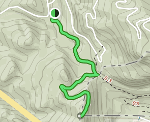 Tri-State Peak via Wilderness Trail, Kentucky - 432 Reviews, Map ...