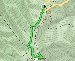 High Knob Tower Trail: 603 Reviews, Map - West Virginia | AllTrails