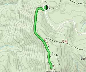 Springer Mountain: 505 Reviews, Map - Georgia | AllTrails