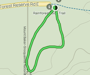 AllTrails | Carbon River Rain Forest Nature Trail: 48 Reviews, Map ...