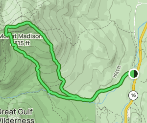 Mount Madison Via Madison Gulf Trail: 104 Reviews, Map - New Hampshire ...