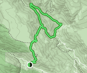 Miller Fork Loop via Bulwark Ridge Trail: 44 Reviews, Map - Colorado ...