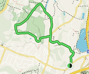 The Rose and Crown Stroude Walk: 85 foto - Surrey, Inghilterra | AllTrails
