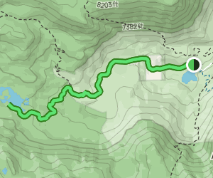 Grass Lake: 404 Reviews, Map - California | AllTrails