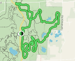 Nordic Trail Blue Loop, Wisconsin - 403 Reviews, Map | AllTrails