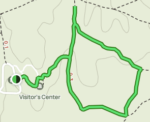 Old Growth Forest Trail, Michigan - 349 Reviews, Map | AllTrails