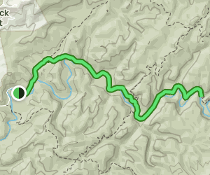 Abrams Falls via Little Bottoms Trail: 364 Reviews, Map - Tennessee ...