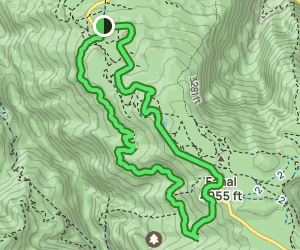 Circular Route of the PR14 trail - Levada dos Cedros: 98 Reviews, Map ...