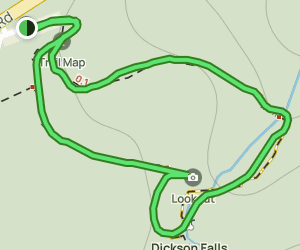 Dickson Falls Trail: 322 Reviews, Map - New Brunswick, Canada | AllTrails