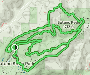 Butano Fire Trail, Canyon, Jackson Flats, Doe Ridge and Little Butano ...