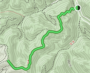 Wildcat Ridge Trail, West Virginia - 55 Reviews, Map | AllTrails