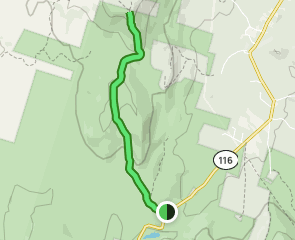 Jericho Road Trail, New Hampshire - 27 Reviews, Map | AllTrails