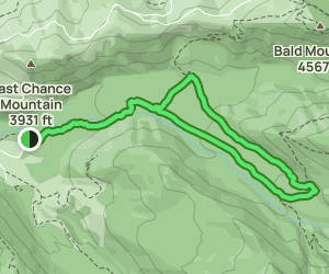 Ramona Falls Trail: 4453 Reviews, Map - Oregon | AllTrails