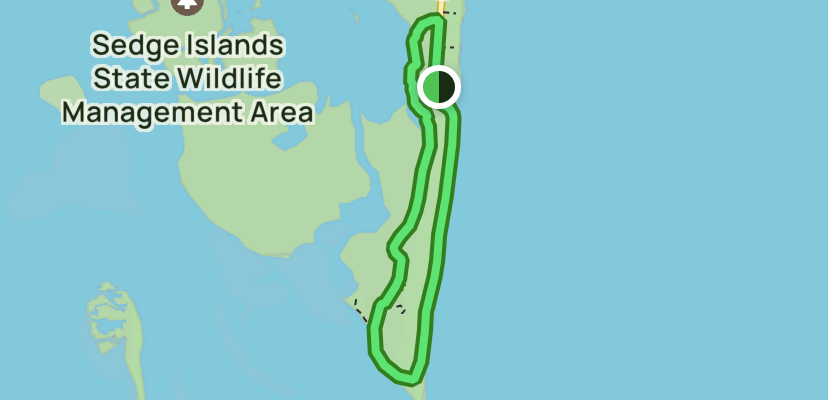 Are Dogs Allowed On Island Beach State Park