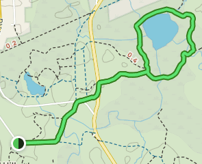 Mallard Marsh and Little Pond Trail, Connecticut - 375 Reviews, Map ...