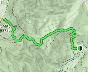 Mount Mitchell Trail, North Carolina - 2,313 Reviews, Map | AllTrails