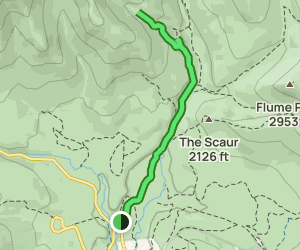 Timber Camp Trail: 97 Reviews, Map - New Hampshire | AllTrails