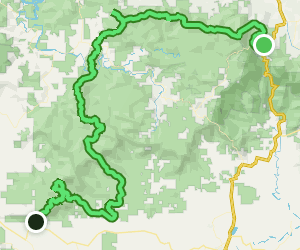 Duncan Ridge Trail: Vogel State Park to Amicalola Falls: 7 Reviews, Map ...