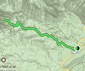 Awa'awapuhi Trail: 3018 Reviews, Map - Kaua'i, Hawaii | AllTrails