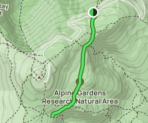 Alpine Garden Trail: 34 Reviews, Map - New Hampshire | AllTrails