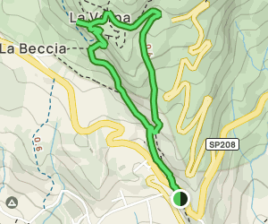 Santuario della Verna via Bosco delle Fate: 3 Reviews, Map - Tuscany ...