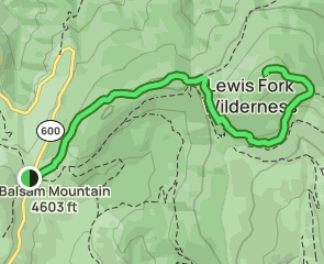 Mount Rogers via Appalachian Trail, Virginia - 460 Reviews, Map | AllTrails