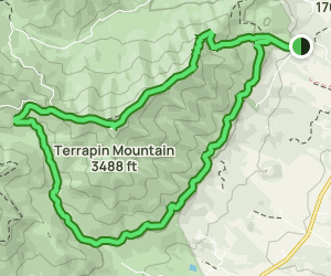 Terrapin Mountain Trail: 290 Reviews, Map - Virginia | AllTrails