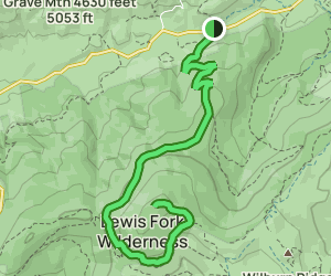 Mount Rogers Trail: 367 Reviews, Map - Virginia | AllTrails