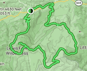 Mount Rogers and Appalachian Trail Loop, Virginia - 269 Reviews, Map ...