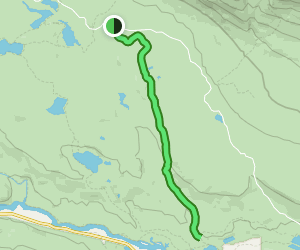 Blueberry Ledges Trail: 69 Reviews, Map - Maine | AllTrails