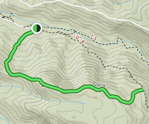Ridge Track: 8 Reviews, Map - Queensland, Australia | AllTrails
