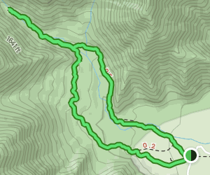 Borrego Palm Canyon: 2296 Reviews, Map - California | AllTrails