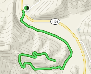 Lilley Cornett Woods Trail: 2 Fotos - Kentucky | AllTrails