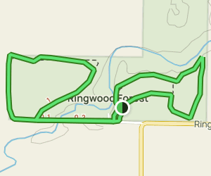 Ringwood Forest Loop: 113 Reviews, Map - Michigan | AllTrails