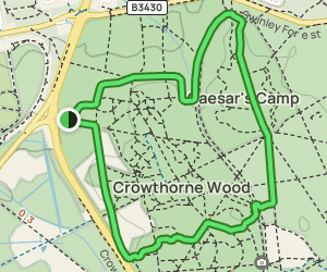 Crowthorne Wood and Caeser's Camp Circular: 85 foto - Berkshire ...