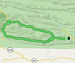 Viles Branch Equestrian Trail: 19 Reviews, Map - Arkansas | AllTrails