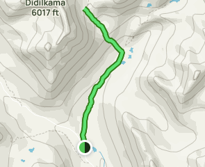 Snowbird Mine and Glacier Pass Trail: 270 fotos - Alasca | AllTrails