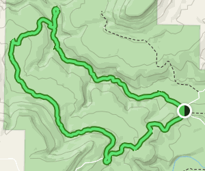 Cecil Cove Loop Trail: 138 Reviews, Map - Arkansas | AllTrails