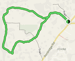 Green Swamp Wilderness Preserve Loop, Florida - 54 Reviews, Map | AllTrails