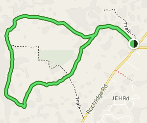 Green Swamp Wilderness Preserve Loop: 77 foto's - Florida | AllTrails