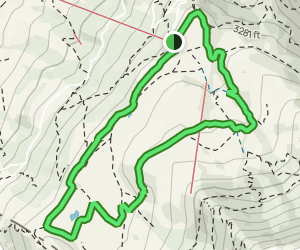 Seebodenalp Panorama Trail: 21 Reviews, Map - Schwyz, Switzerland ...