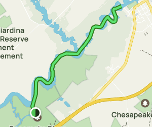 Pocomoke River Kayak Route: 14 Reviews, Map - Maryland | AllTrails