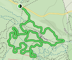 Spencer's Loop Trail: 213 fotos - Alaska | AllTrails