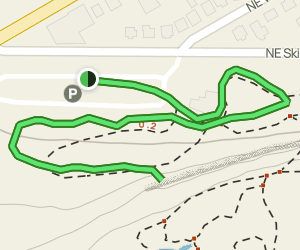 The Grotto: 95 Reviews, Map - Oregon | AllTrails