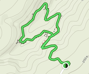 Alum Cove Trail: 710 Reviews, Map - Arkansas | AllTrails